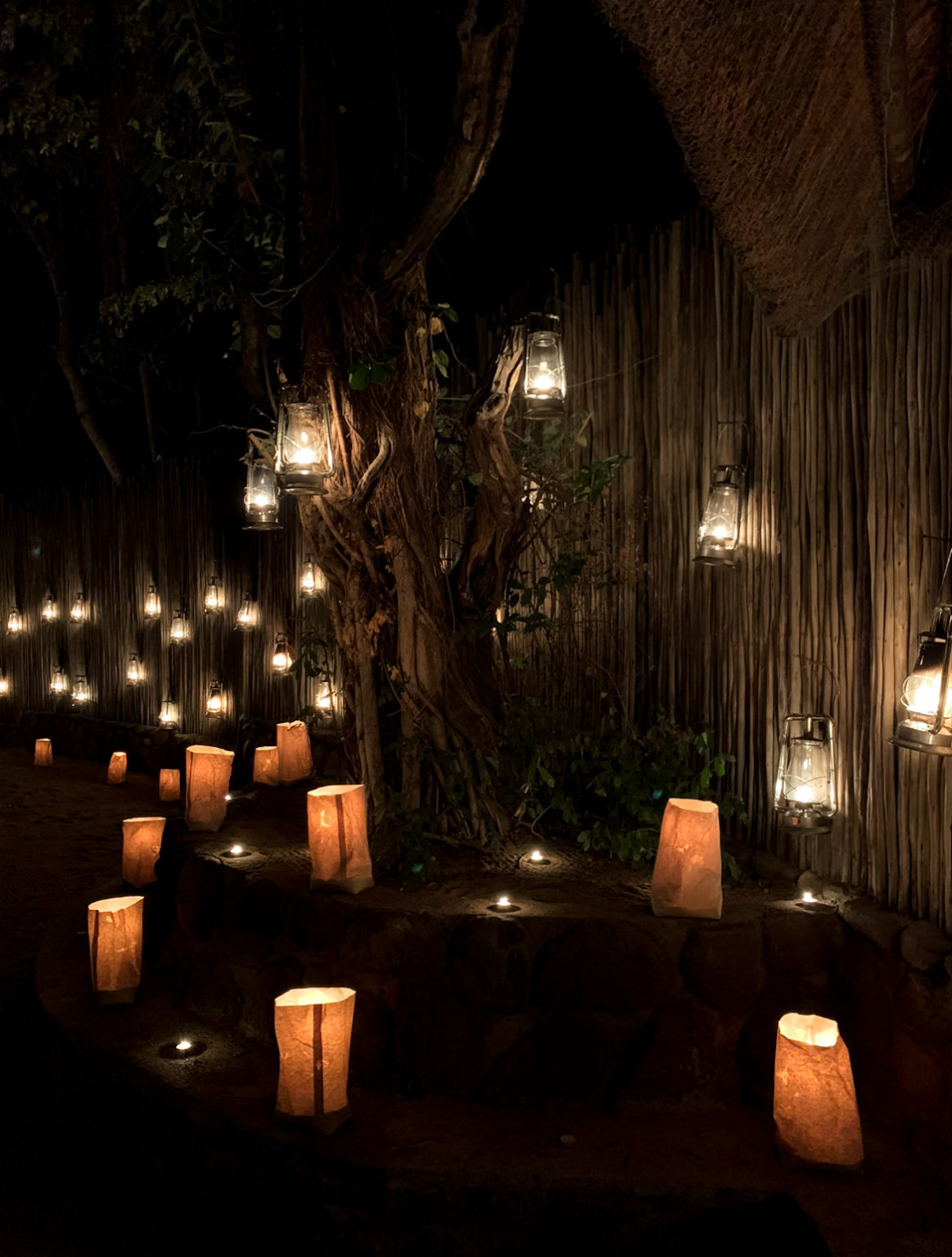Interior Design - Safari Style - Nuela Designs